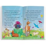 Wellie Wisher Book - The Rainstorm Brainstorm - The Doll Boutique